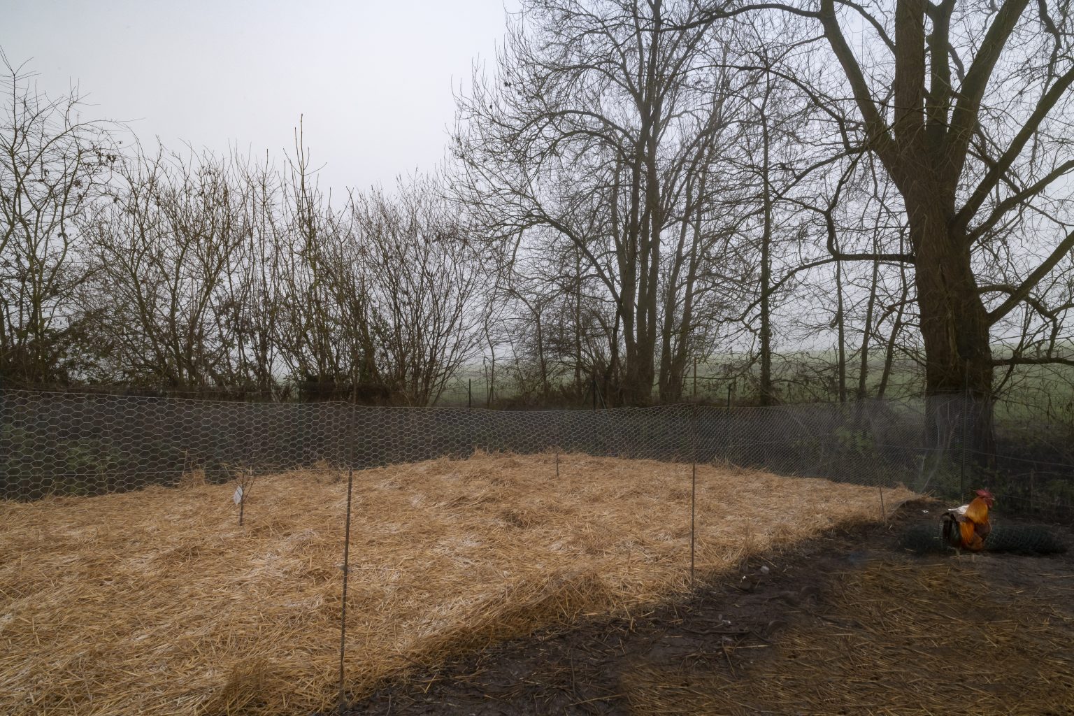 Création de potager – Regain de Sens – une vision responsable et ...